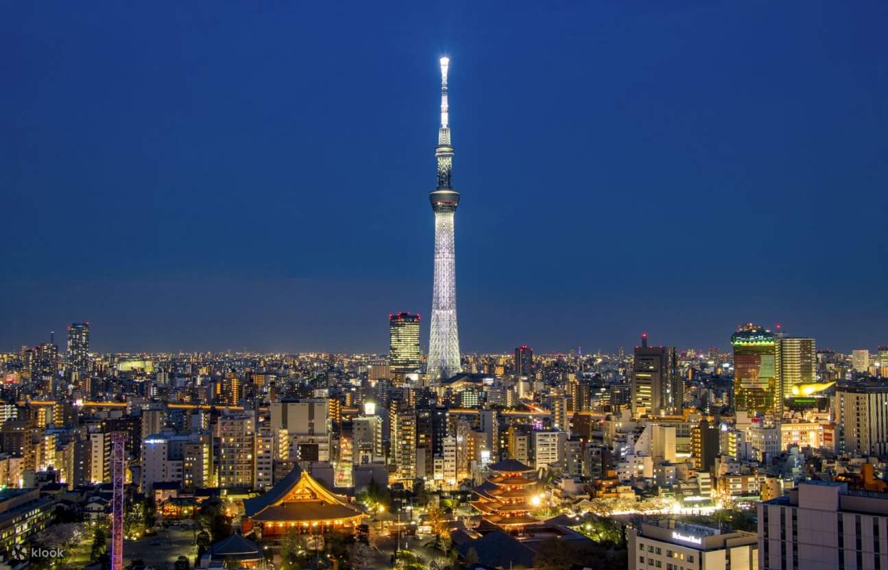 Private Transfer Tokyo City To Tokyo Disneylandmount Fujikaruizawanaganoniigata And Other